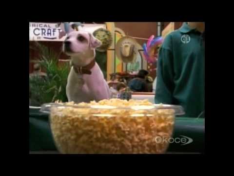Wishbone: Fleabitten Bargain Part 1