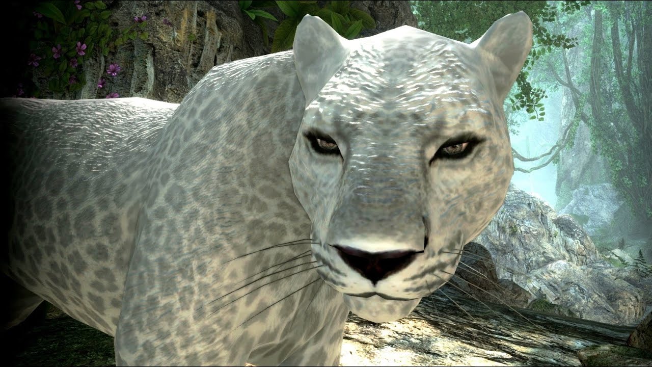 Assassin's Creed 4 Beautiful Wildlife / All Animals Close up - YouTube