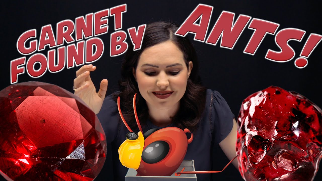 Gems Mined By Ants? - YouTube
