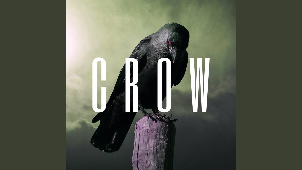 Crow - YouTube