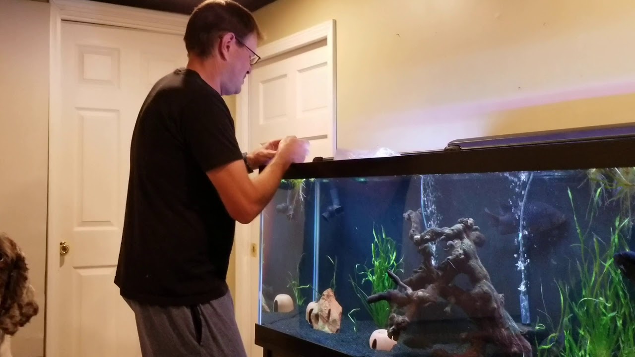 Beamswork dimmer timer review - YouTube