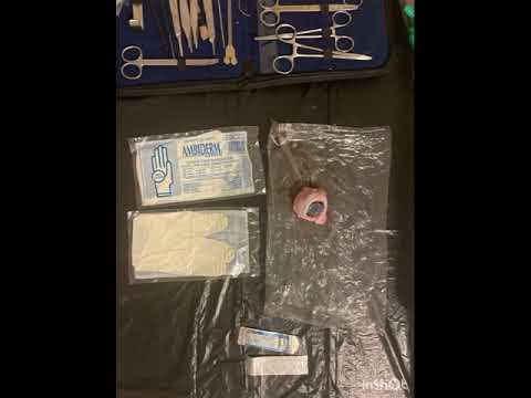 Disección de ojo de vaca paso a paso - YouTube