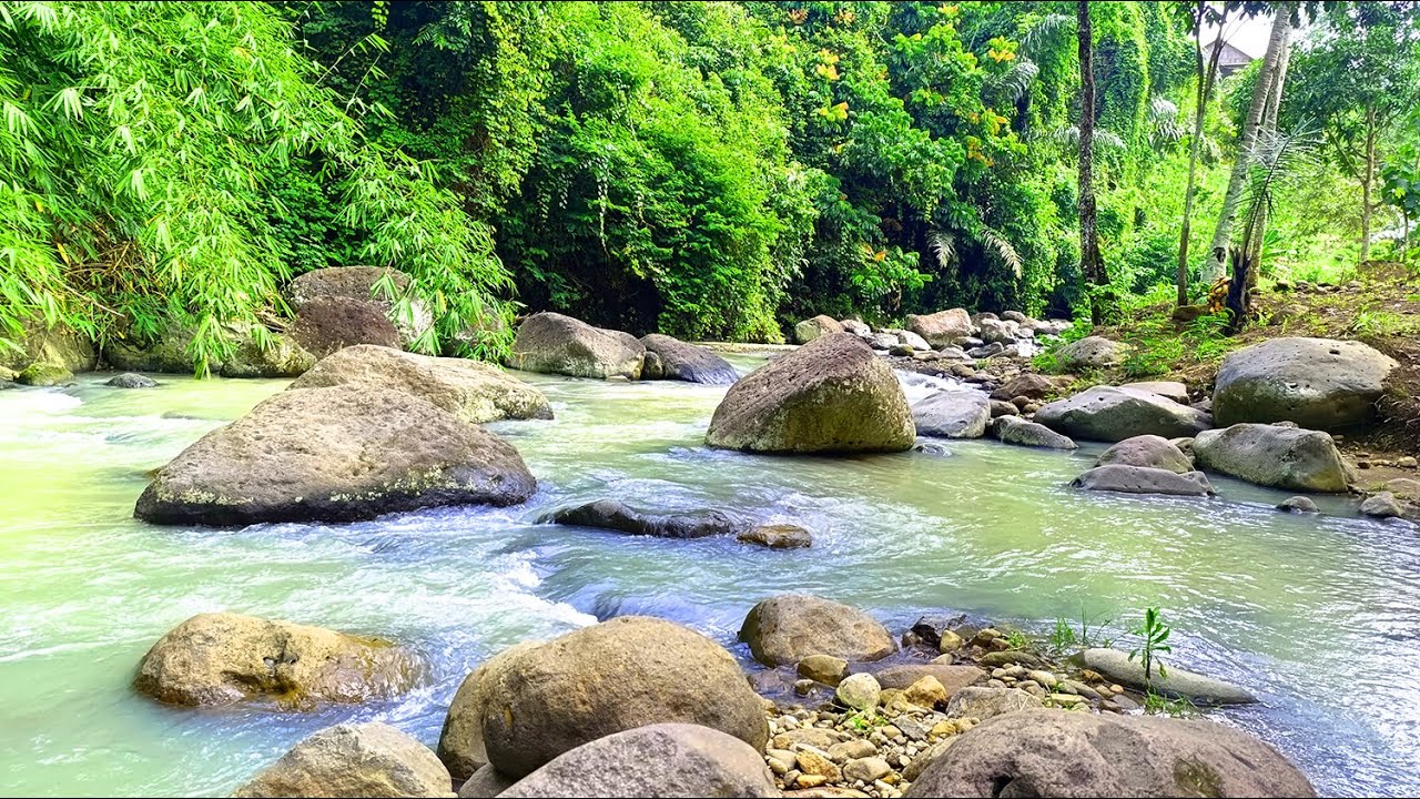Beautiful Mountain Small River Flowing Sound - Forest Gentle River ...