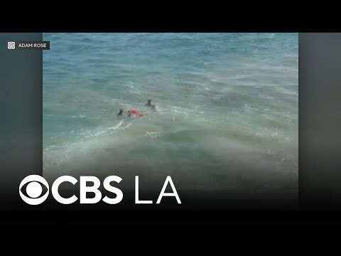 Lifeguards rescue swimmers dragged into the ocean by rip currents near Venice pier