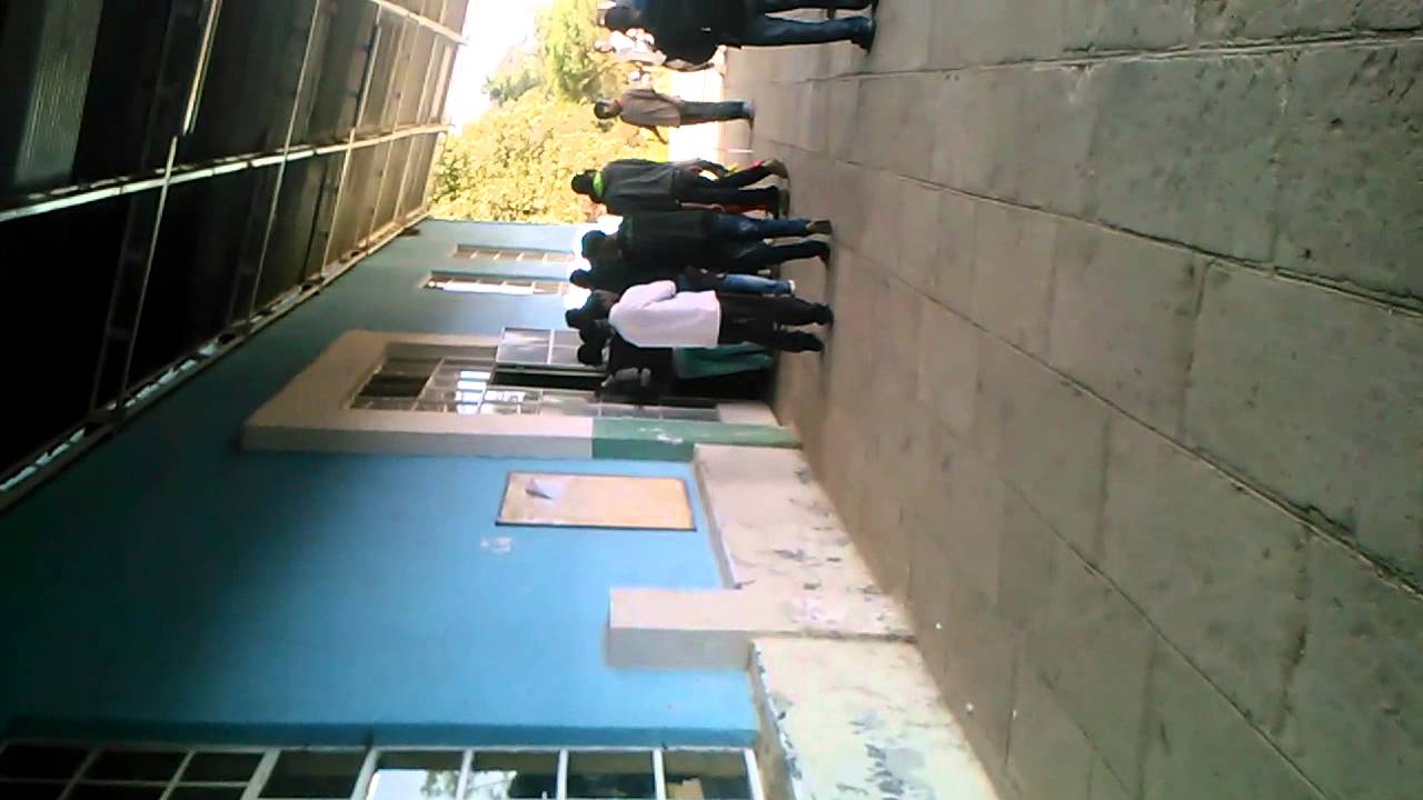 addis ababa university students 2007 senior social student - YouTube