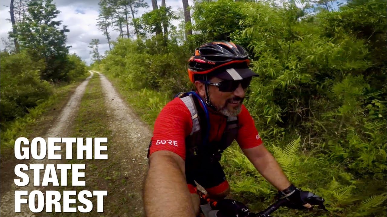 Exploring the gravel byways of the Goethe State Forest - YouTube