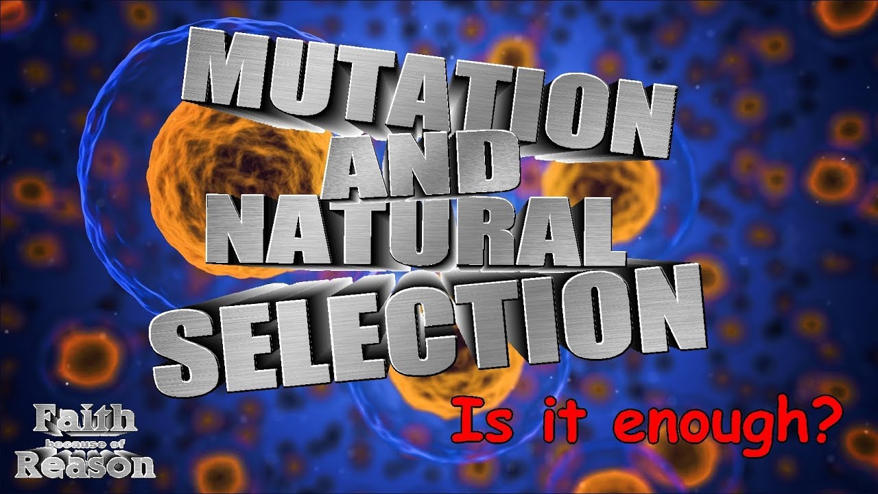 Mutation and Natural Selection: Is it Enough? - YouTube