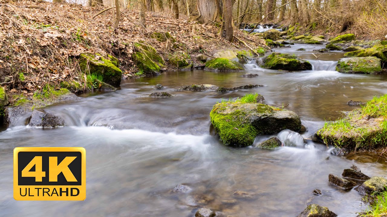 Serenity in 4K: Mossy Rocks and Forest Stream - 3 Hours of Nature's ...