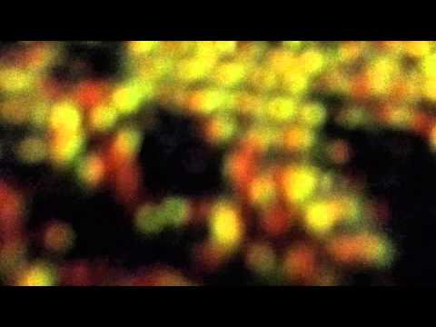 Hej Haj bice bolje 20130526002702