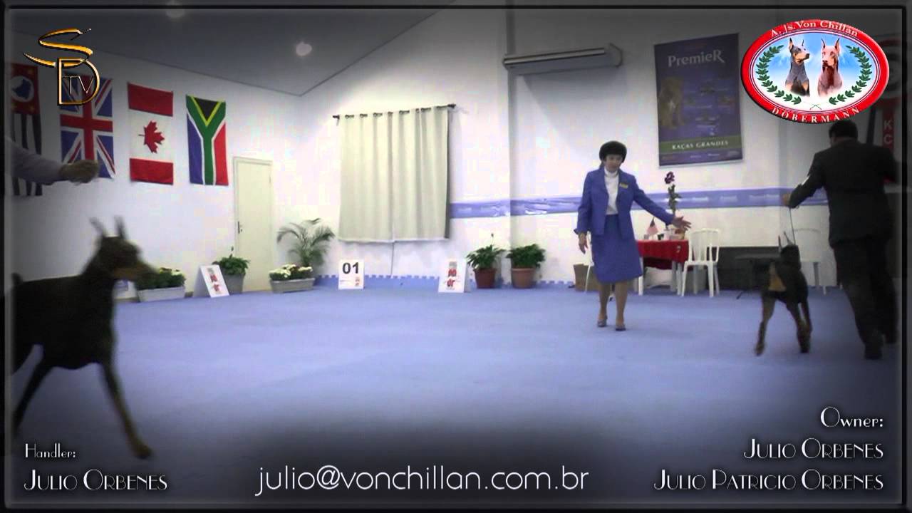 MORGAN DE BLACK SHADOW BIS Barbara Alderman KCSP Março 2015 - YouTube