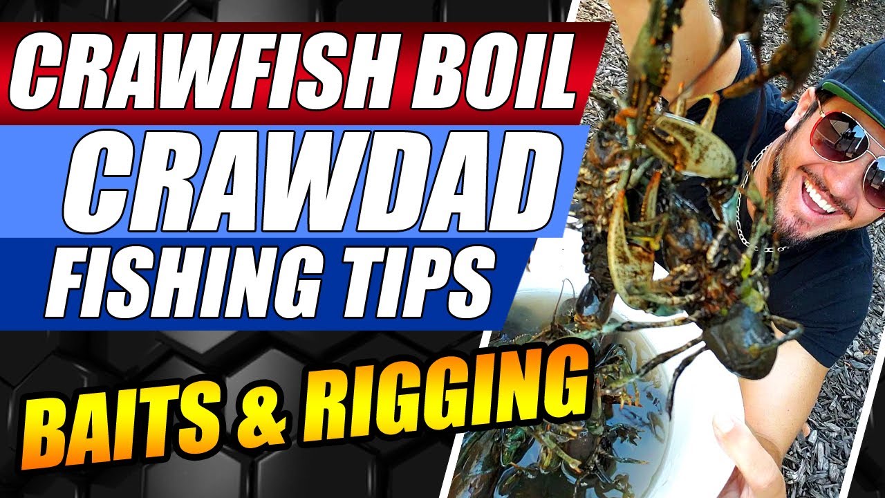 Crawfish Boil - Crawdad Hole - Crawdad Fishing - CrawCrawfish Trap ...