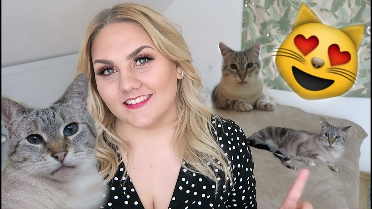 Unsere NEUE KATZE 😻 & was mit Kitty passiert ist.. - YouTube