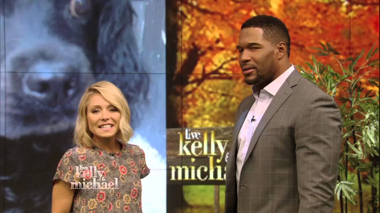 Kelly & Michael Show 2015 - YouTube