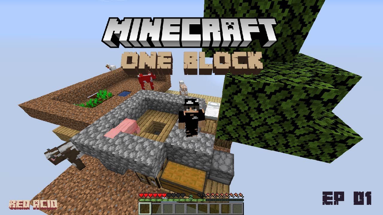 MINECRAFT ONE BLOCK CHALLENGE | MINECRAFT SURVIVAL | EP 01 - YouTube