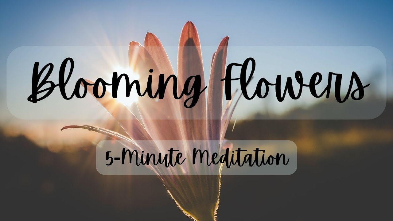 Relax with Blooming Flowers and Uplifting Music - 5 Min Meditation with ...
