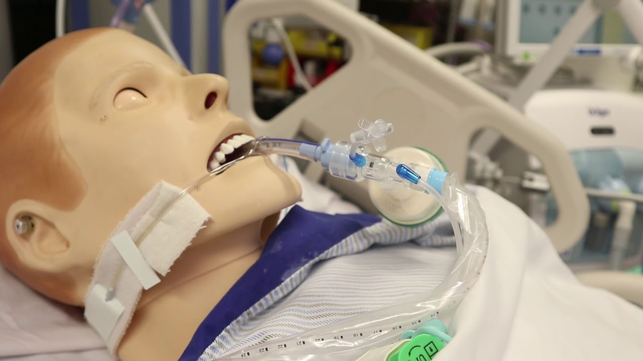 Mechanical Ventilation Background Information and Common Indication ...