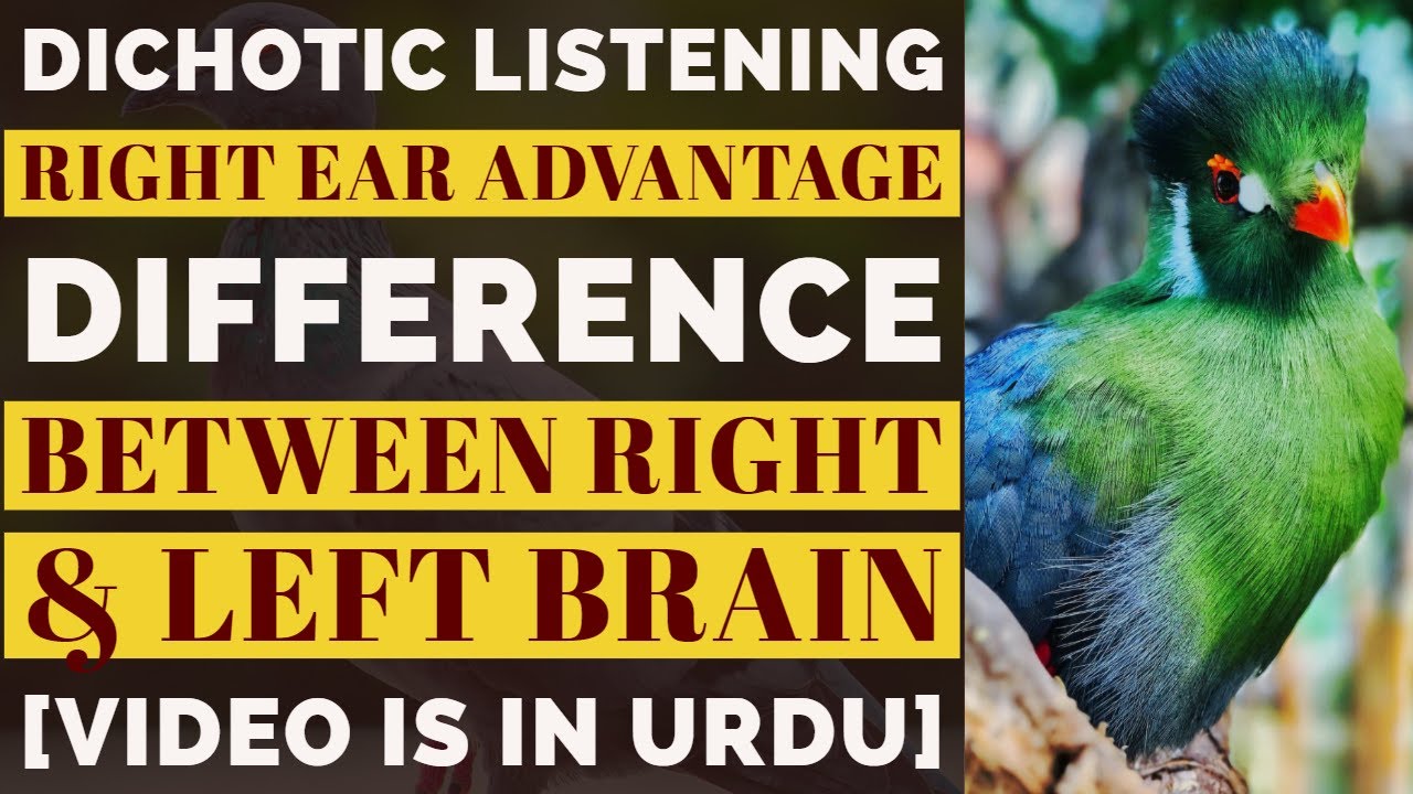 Dichotic listening task - chrisbillo