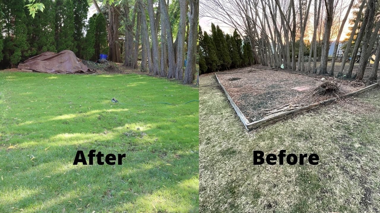 DIY Grass Seed Renovation - YouTube
