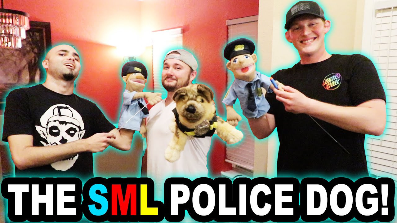 Can You Touch A Police Dog