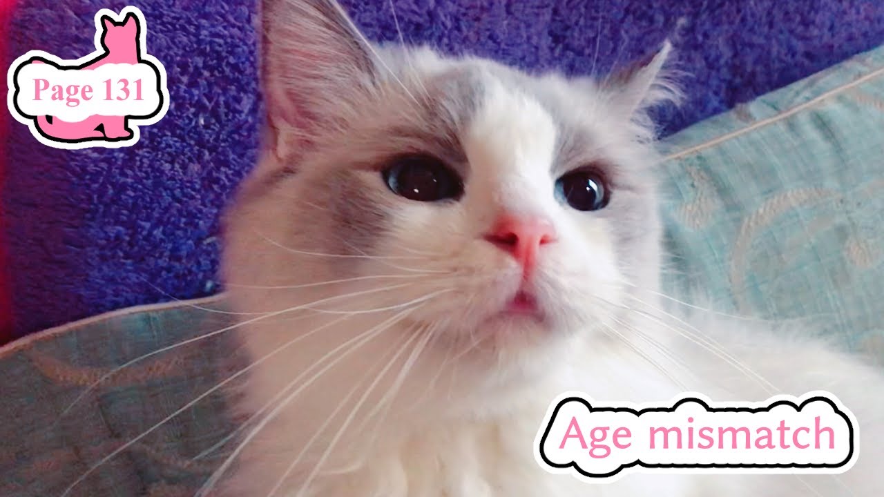 Page 131 年不相応 Age mismatch - YouTube