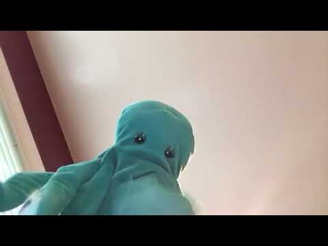 Octopus puppet by folkmanis - YouTube
