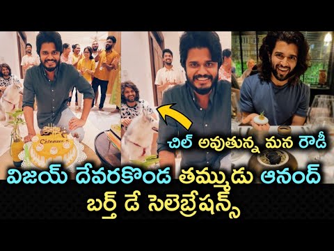 Vijay devarakonda Brother Anand Devarakonda Birthday Celebrations # ...