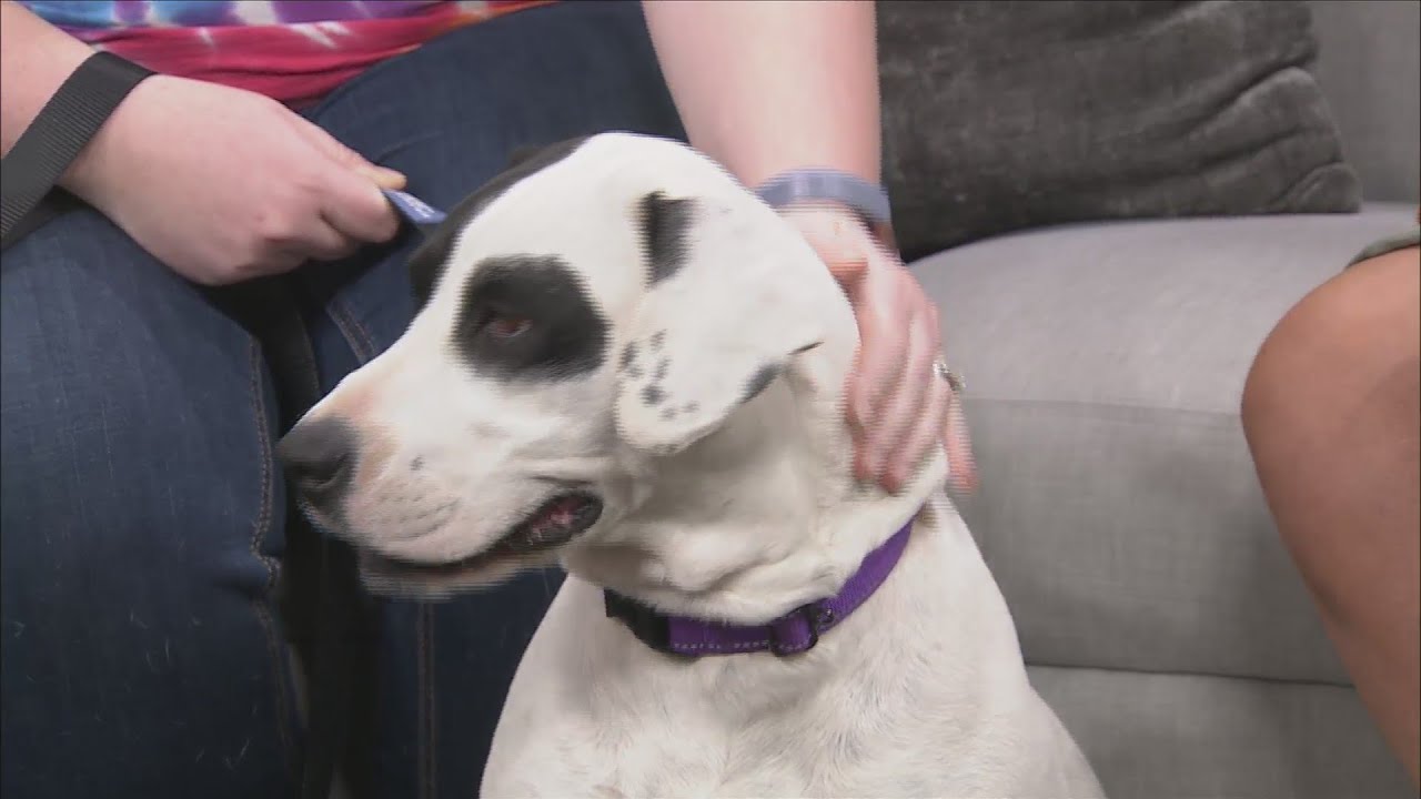 Rescue One on Daybreak - YouTube