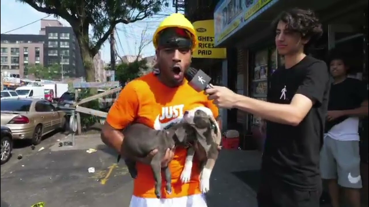 Best of sidetalk nyc - serydiscover