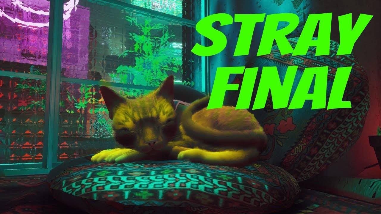 Stray final - YouTube