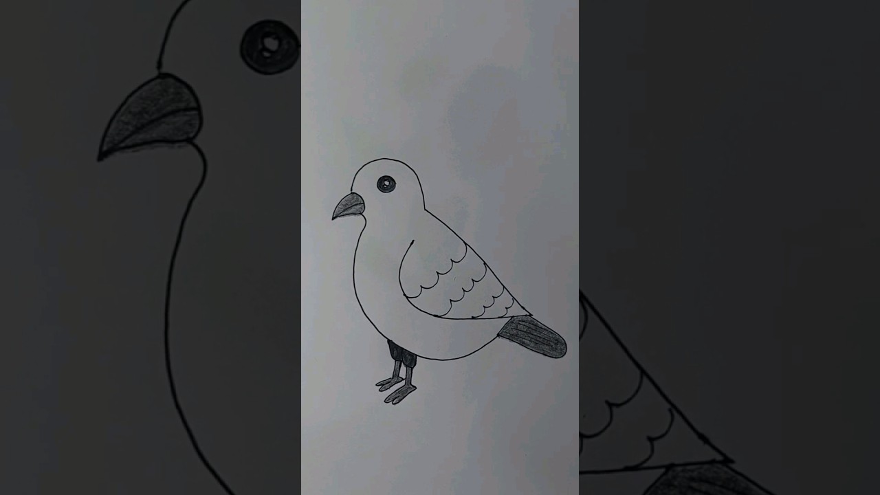 How To Draw A Bird - YouTube