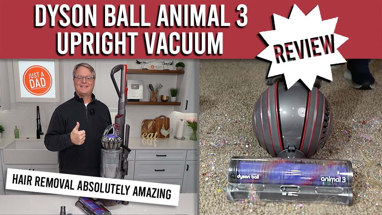 Dyson Ball Animal 3 Upright Vacuum Cleaner Review - YouTube