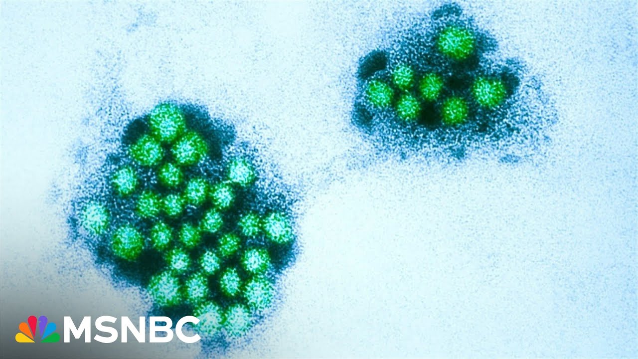 What to know about the highly-contagious norovirus surge - YouTube