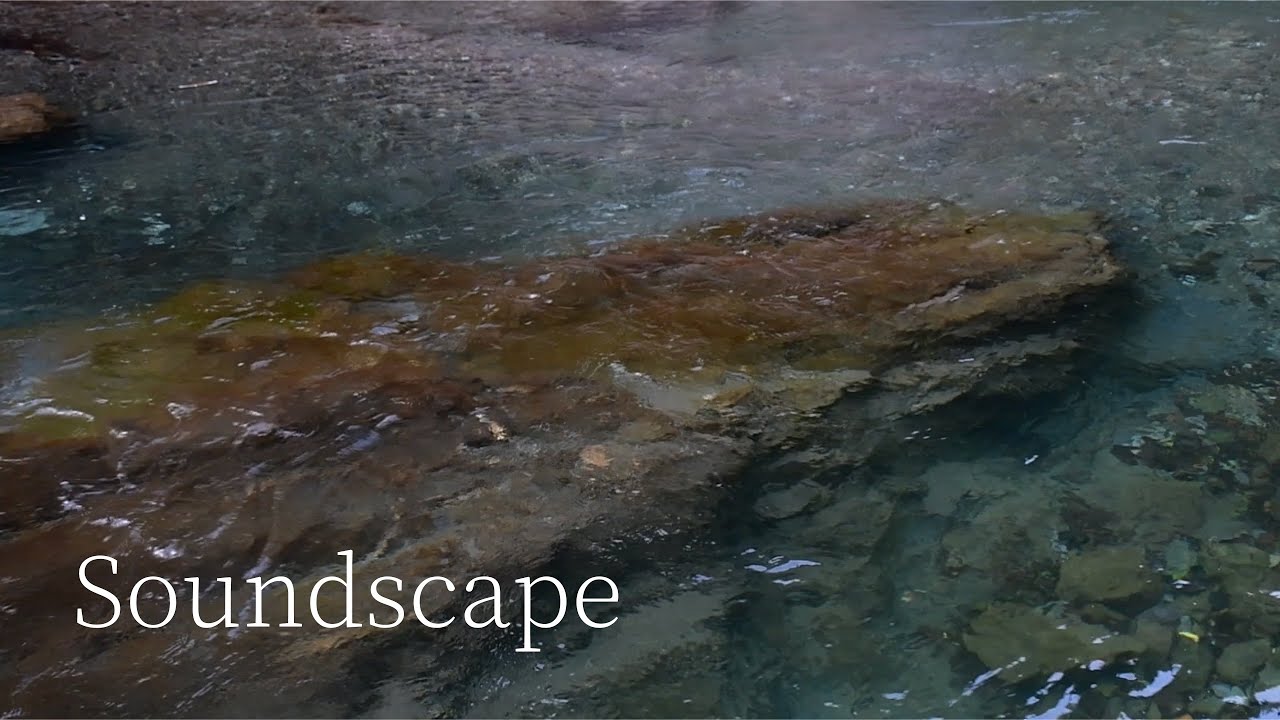 【Soundscape】Nature Sounds/Bubbling Brook Sounds/Relaxing Nature Sounds ...
