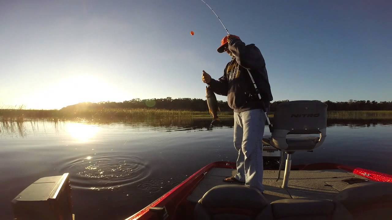 Shiner fishing Lake Kissimmee Nov 12 - YouTube