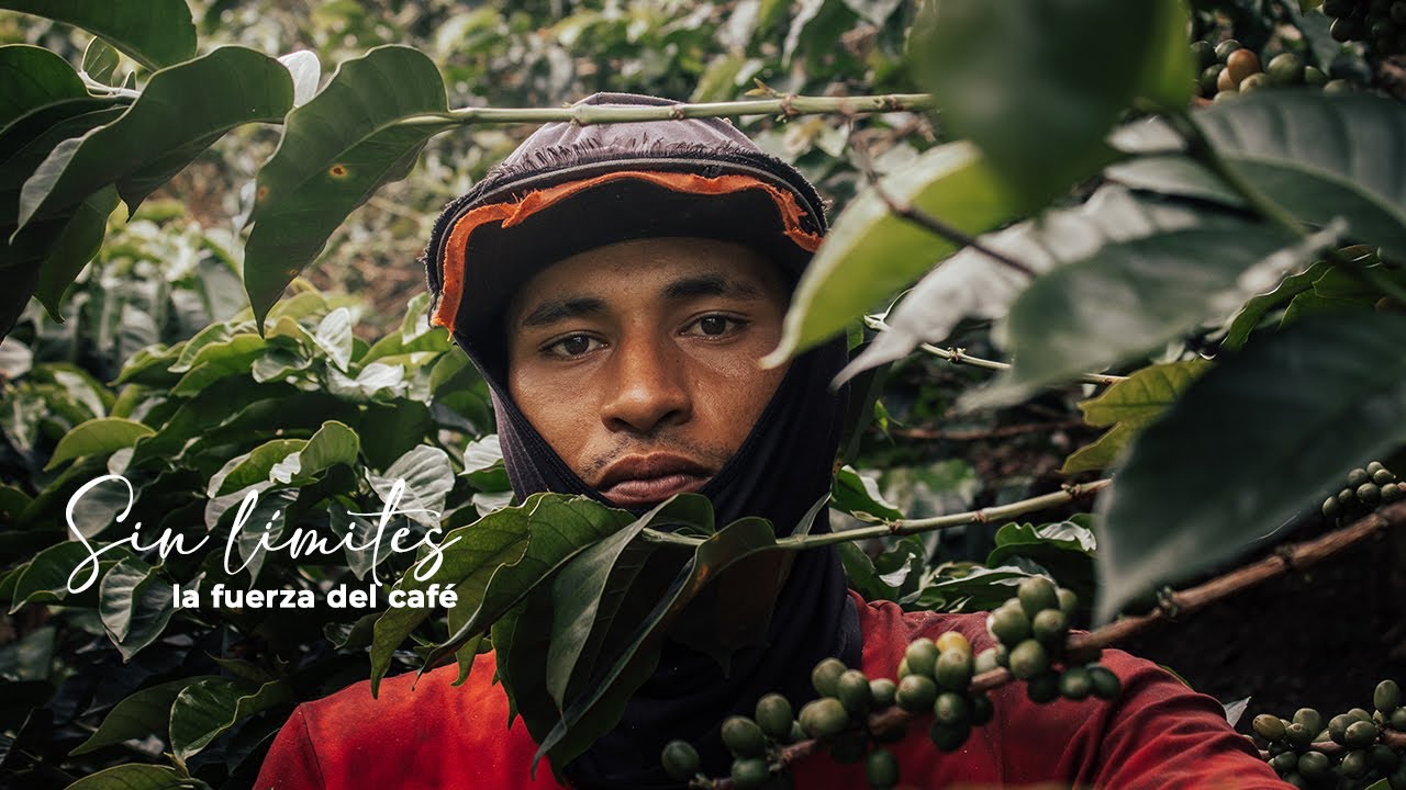Sin límites: la fuerza del café | Edwin Céspedes Galindo - YouTube