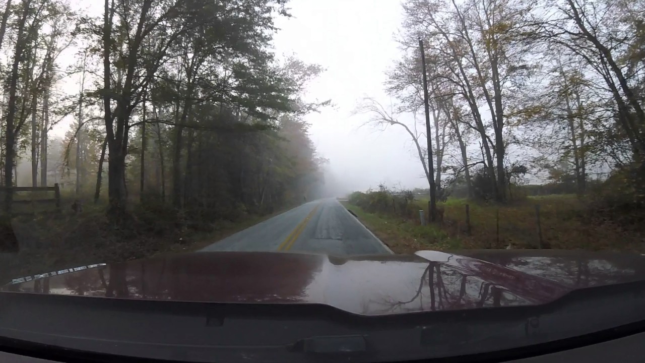 ALMOST HIT A DEER - YouTube