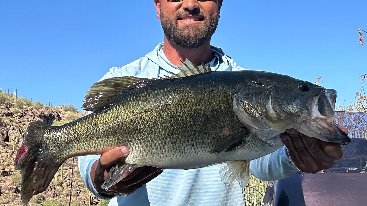 Saguaro Lake Fishing Report