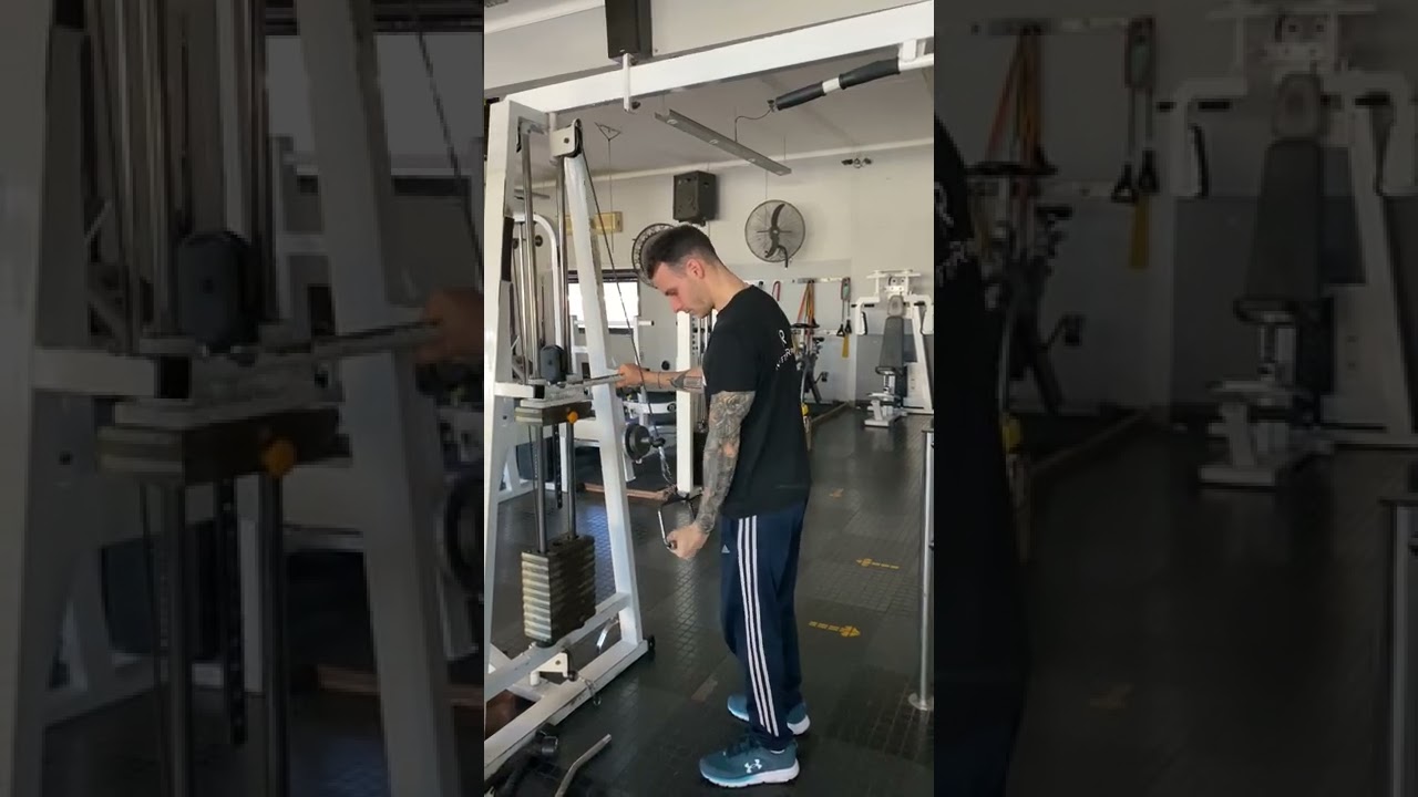 INVERTIDO 1 BRAZO EN POLEA - YouTube