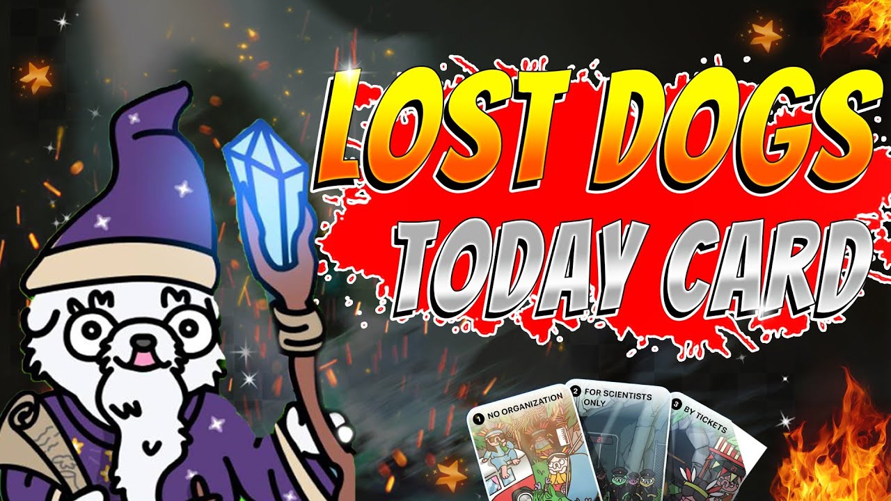 Lost Dogs Today Card | find daily lost dogs card - YouTube