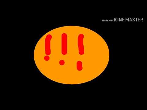 Windows XP.EXE Buttons S - YouTube