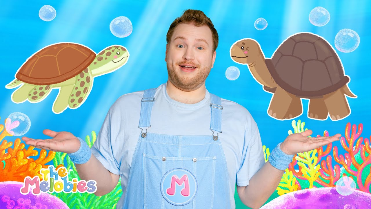 Baby Turtles Song | Tortoise and Turtle | Early Learners Interested in ...