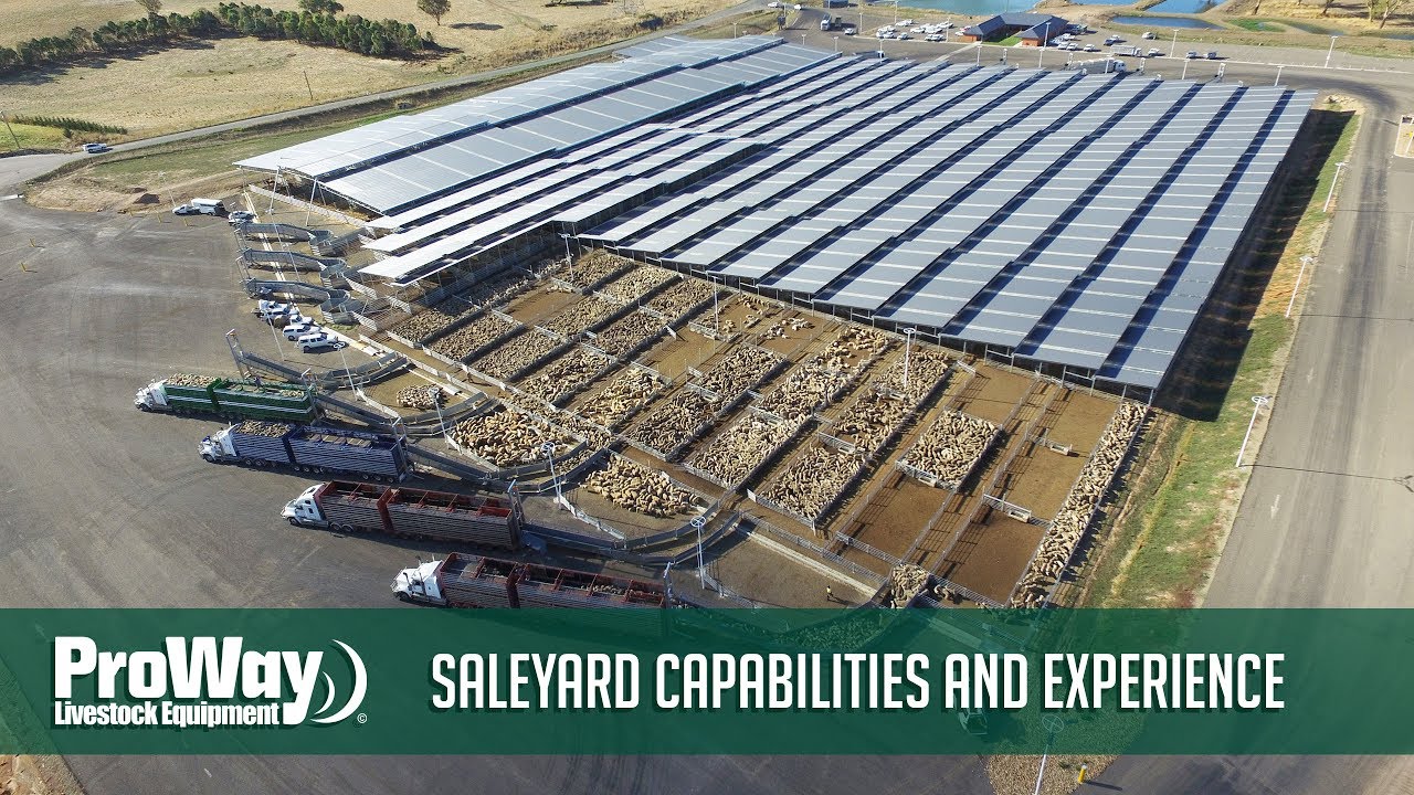 ProWay - Saleyard Capabilities and Experience - YouTube