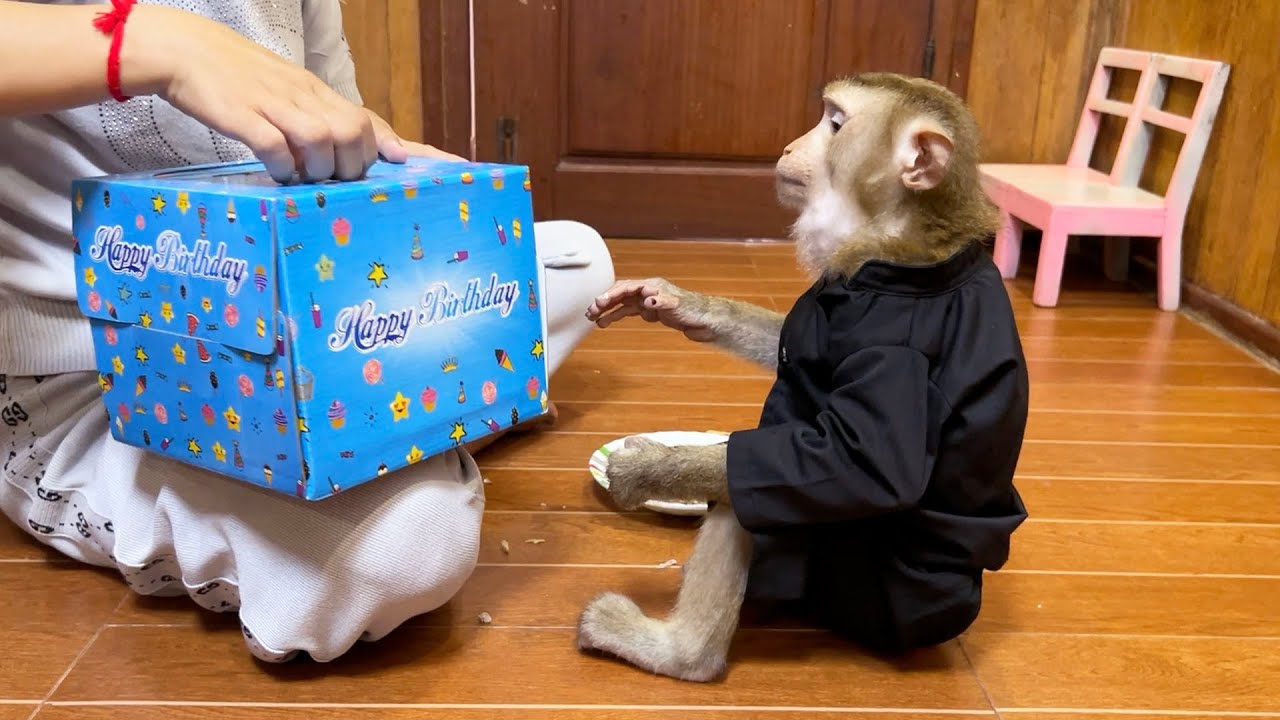 Incredible Judee Delighted Sit Suppose This Is Her Birthday Cake - YouTube