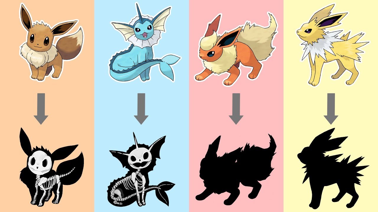 Eevee, Vaporeon, Flareon, Jolteon - Pokemon Skeletons 3. - YouTube