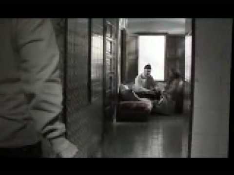 video xvid