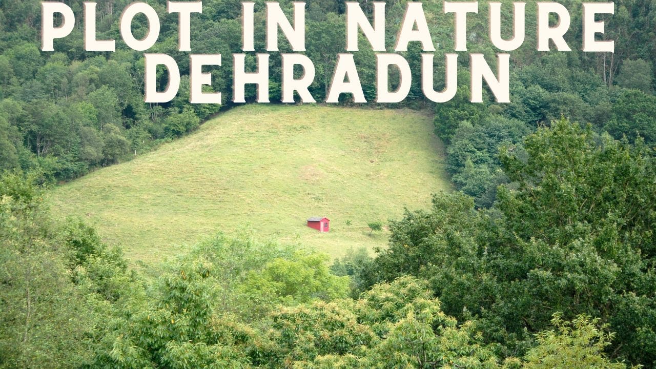 500 Gaj Plot for sale Near Forest in Dehradun - YouTube