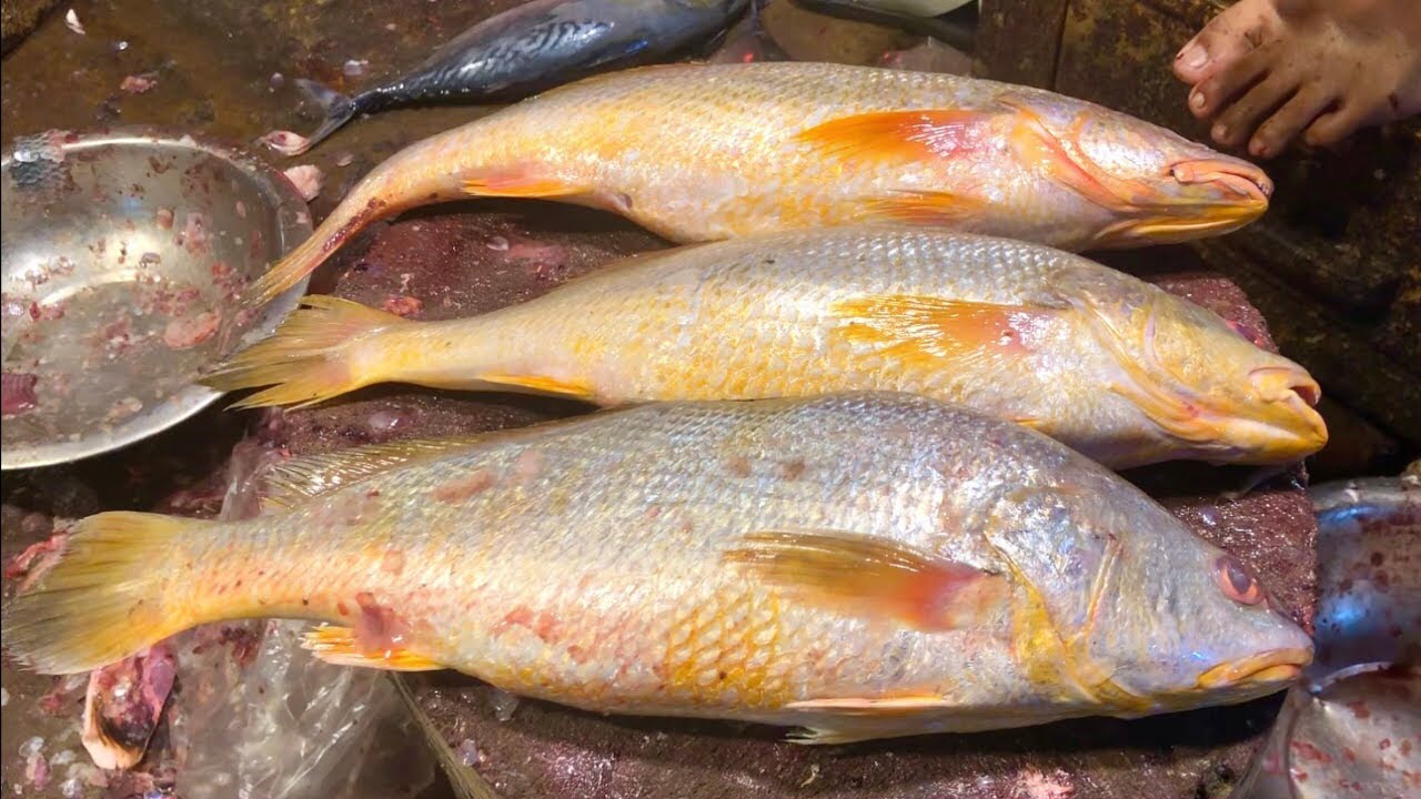 World's Most Impressive Larimichthys Crocea Fish Cutting Skills! Fish ...