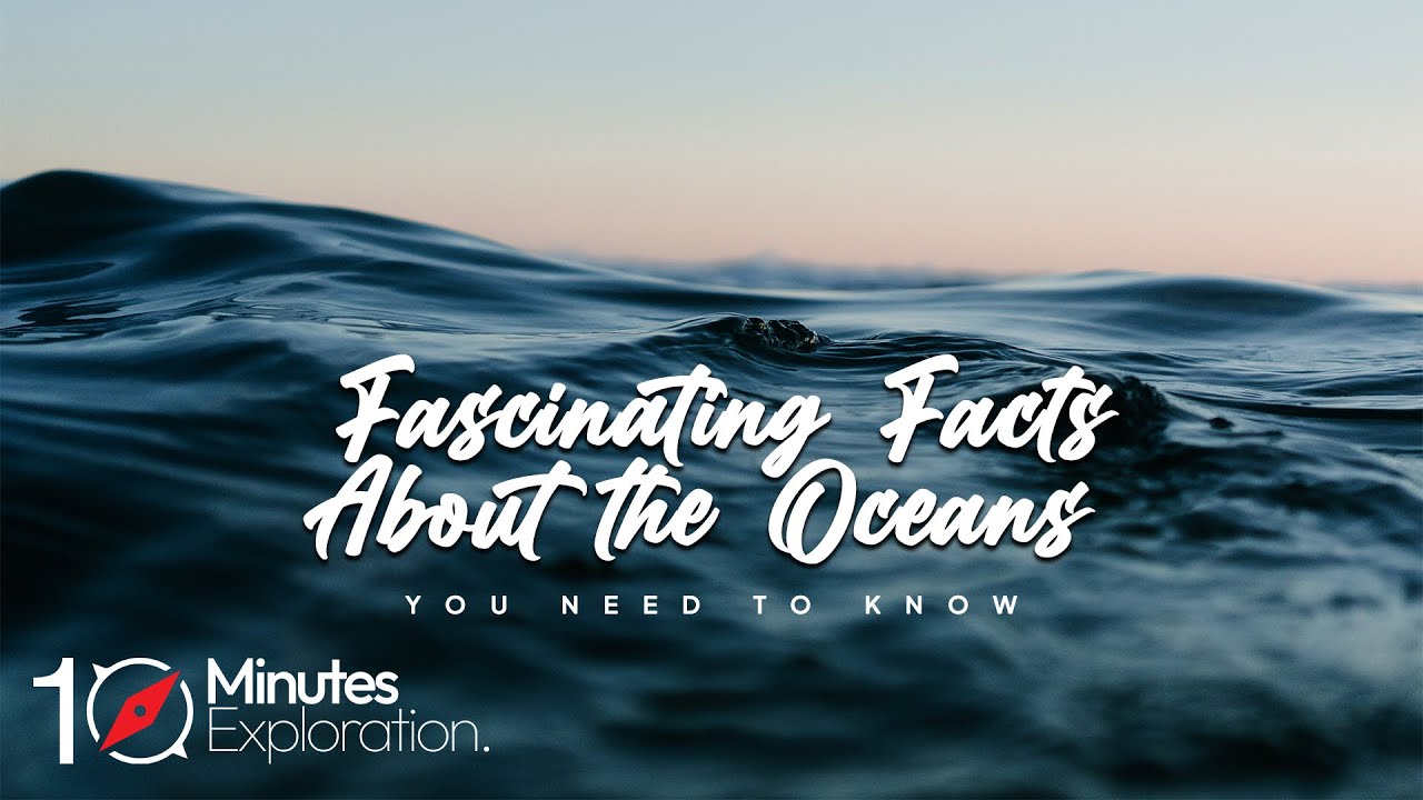 Fascinating Facts About the Oceans You Need to Know | Let's Dive In ...