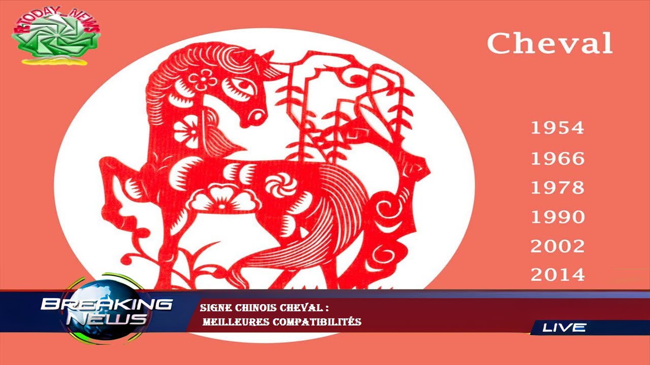 Signe chinois Cheval : meilleures compatibilités - YouTube