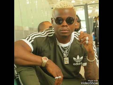 Harmonize - nishachoka